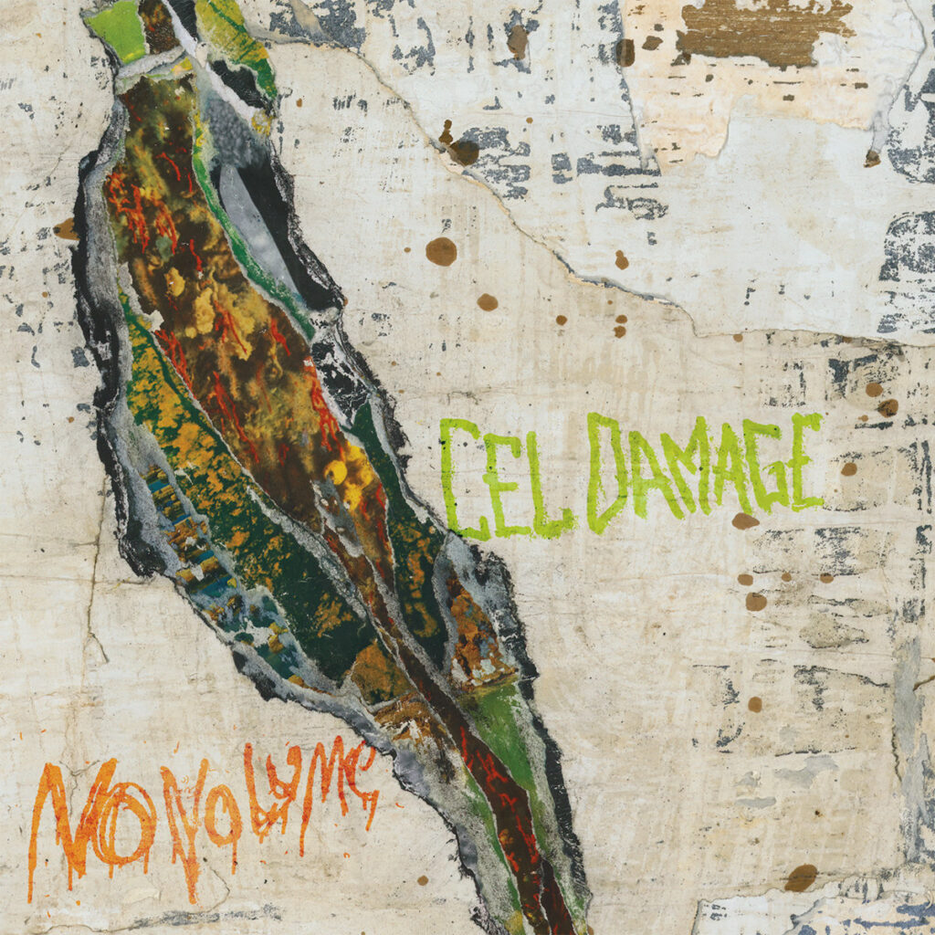 ALBUM REVIEW: No Volume - Cel Damage - Distorted Sound Magazine