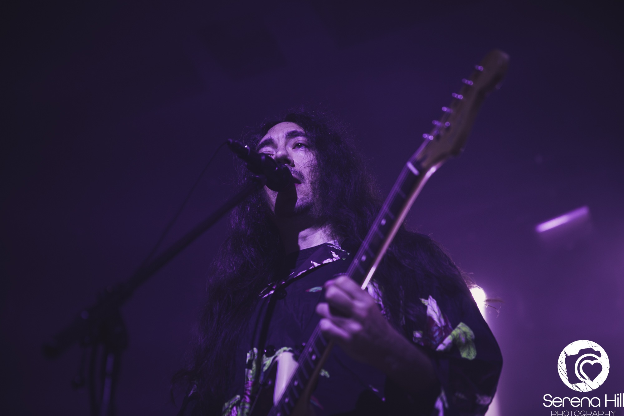 LIVE REVIEW: Alcest @ SWX, Bristol - Distorted Sound Magazine