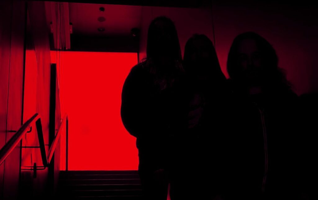 Dissimulator announce debut album 'Lower Form Resistance' - Distorted ...